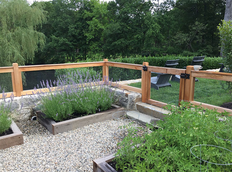 Wire Mesh Fence: Attractive Garden Fence for Your Backyard